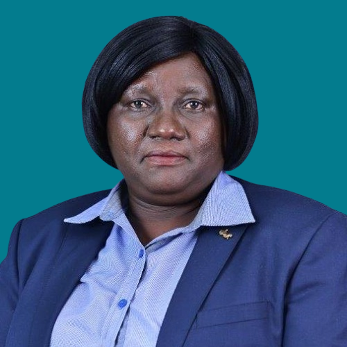 Board Members – National Social Security Authority(NSSA)