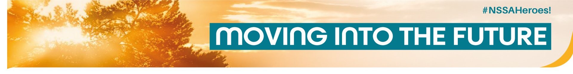 Document Library – National Social Security Authority(NSSA)